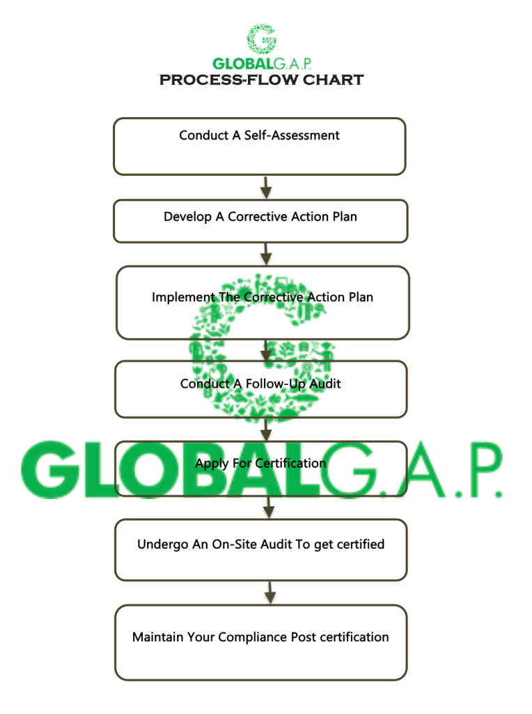 Global Gap Certification (GlobalG.A.P. Certification) - Vektors